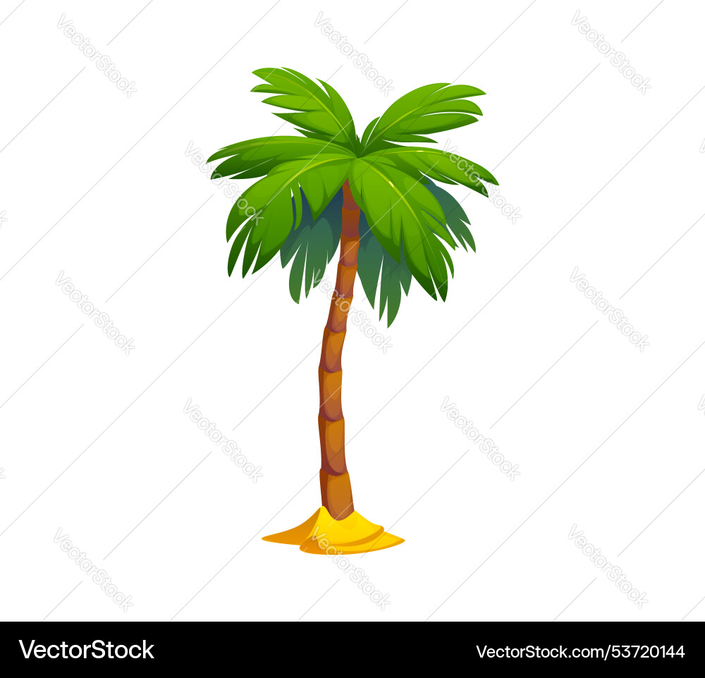 Cartoon palm or jungle tree from paradise beach Vector Image