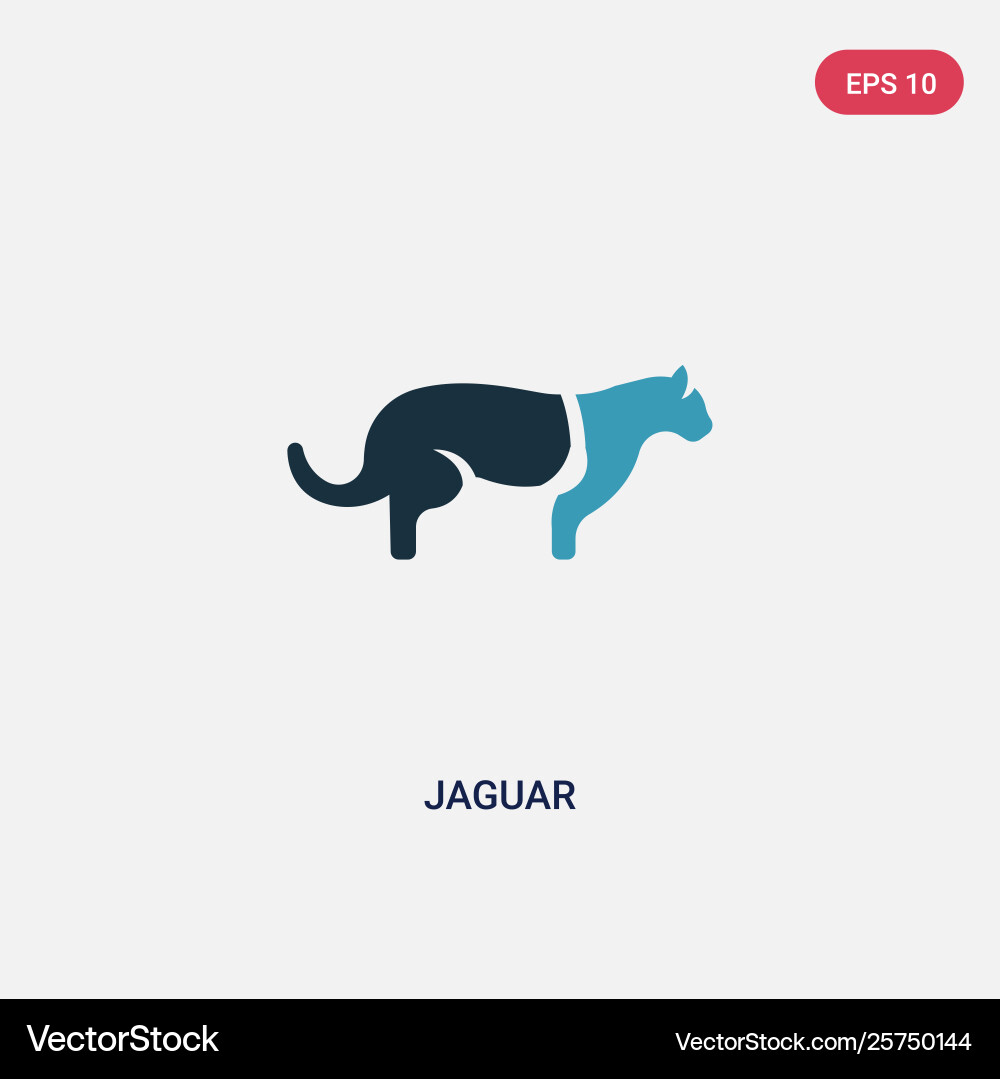 Two color jaguar icon from animals concept Vector Image