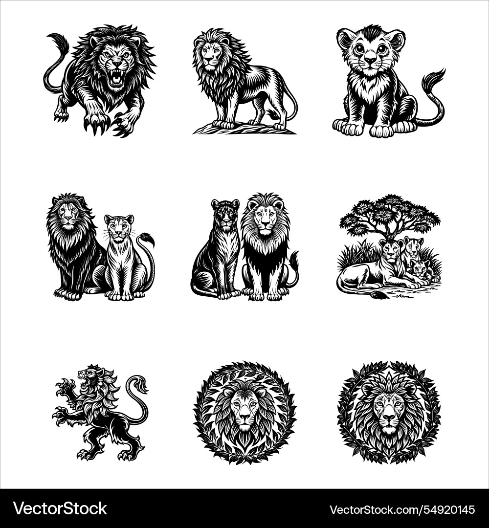 Lion Royalty Free Vector Image - VectorStock