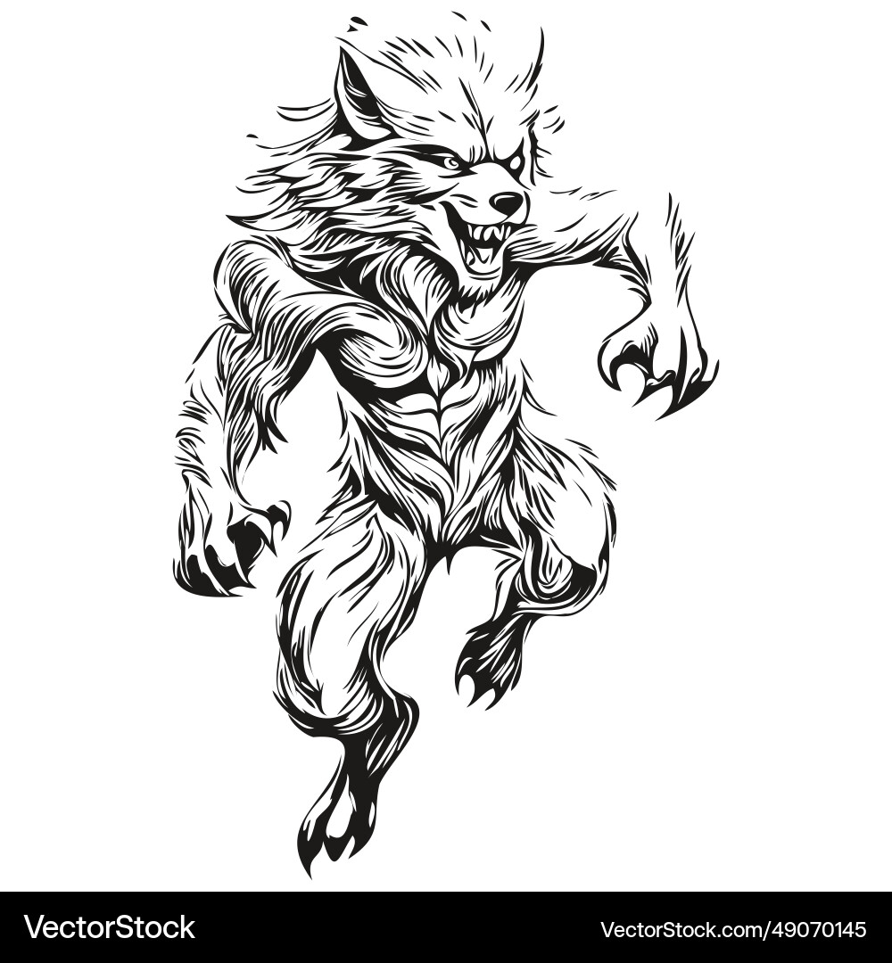 Malevolent hand-drawn reflection of a werewolf Vector Image