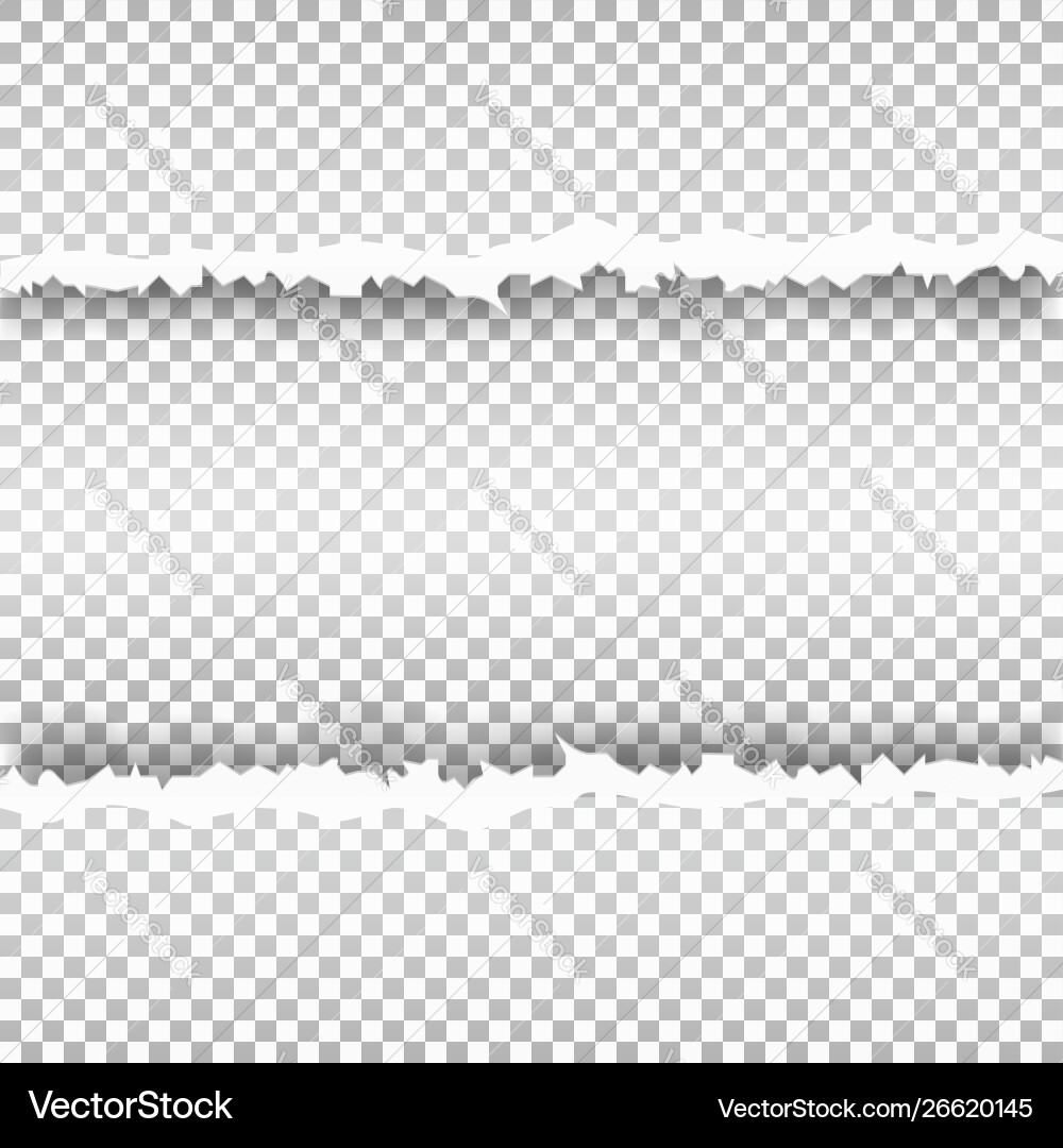 Ripped paper Royalty Free Vector Image - VectorStock