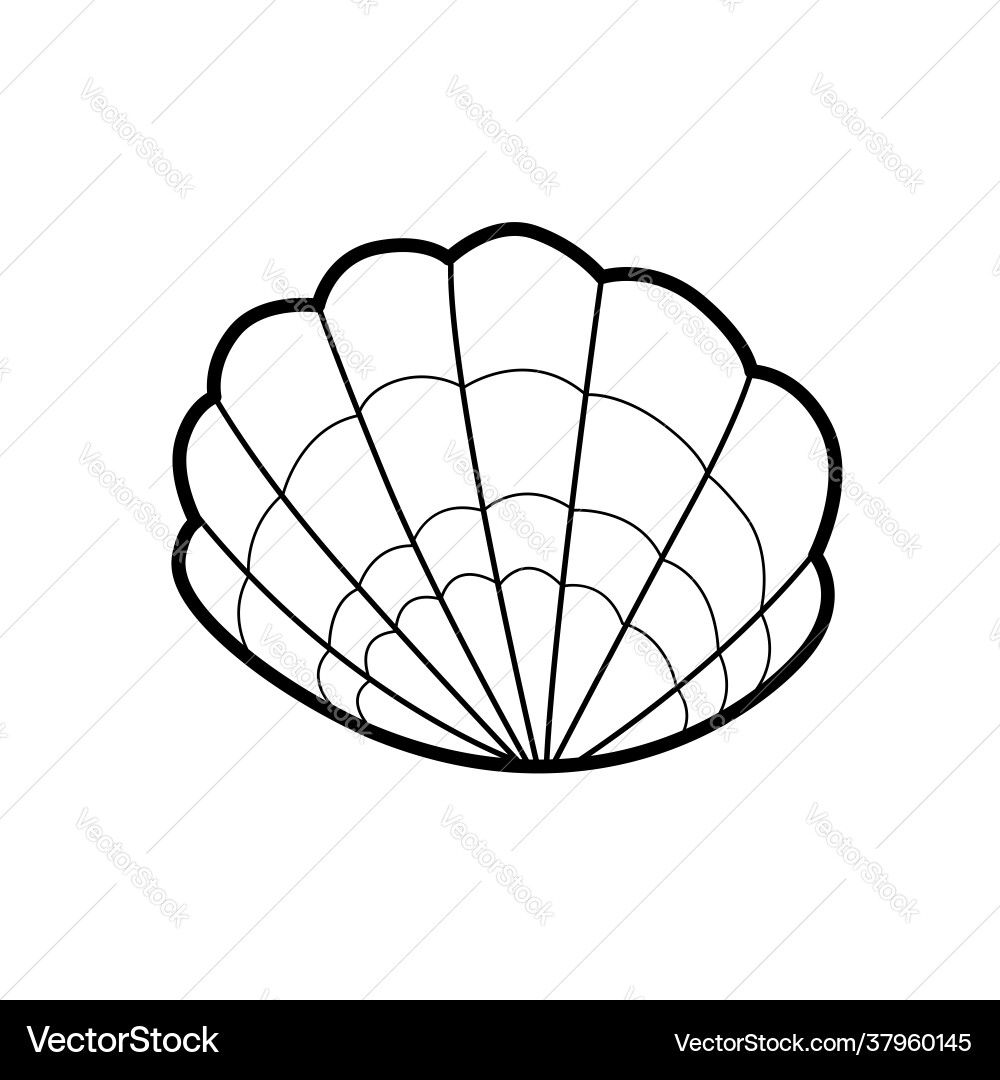 Scallop big shell outlined for coloring page Vector Image