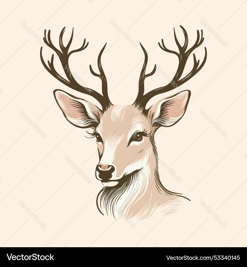 Stylized deer face design Royalty Free Vector Image