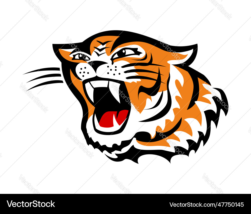 Tiger head template logo Royalty Free Vector Image