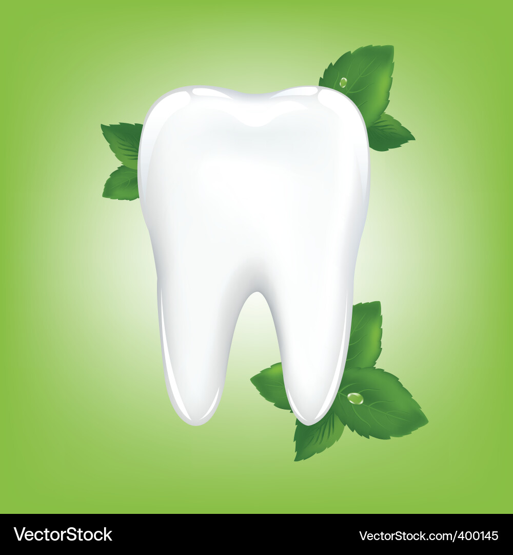 Tooth background Royalty Free Vector Image - VectorStock