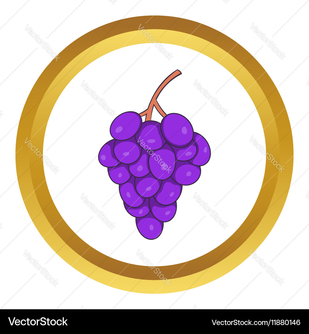 Bunch of wine grapes icon Royalty Free Vector Image