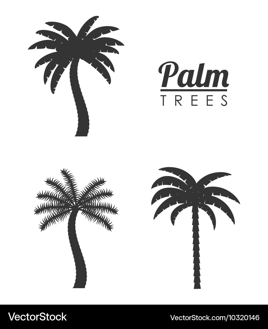 Palm tree nature plant design Royalty Free Vector Image