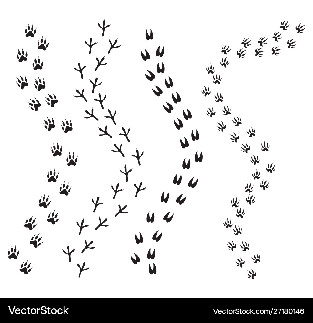 Set traces animals and birds collection Royalty Free Vector