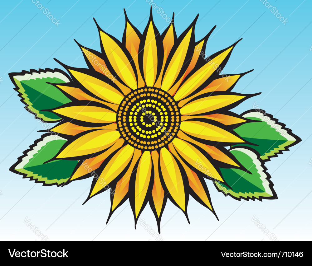 Sunflower Royalty Free Vector Image - VectorStock