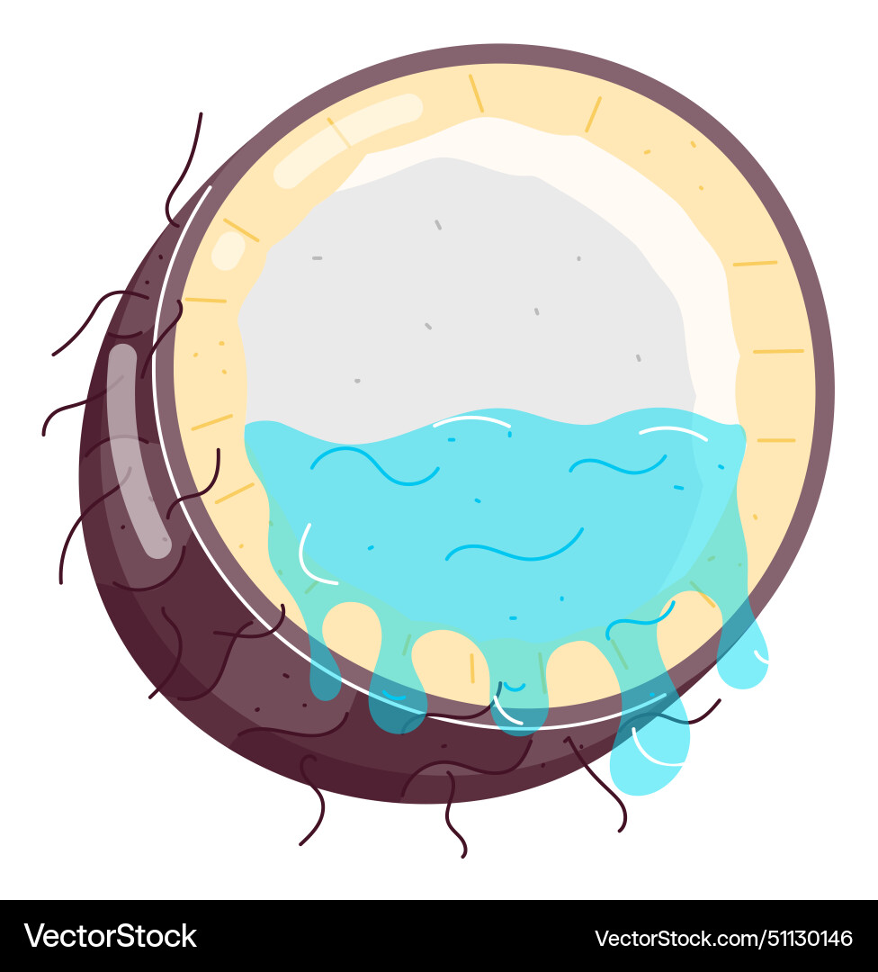 Tropical coconut flat stickers Royalty Free Vector Image