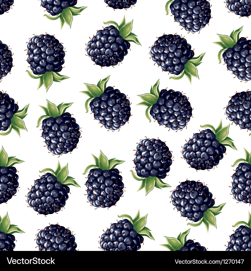 Blackberry pattern Royalty Free Vector Image - VectorStock