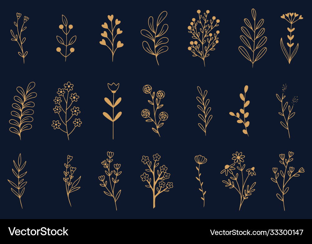 Botanical Floral Doodles Royalty Free Vector Image