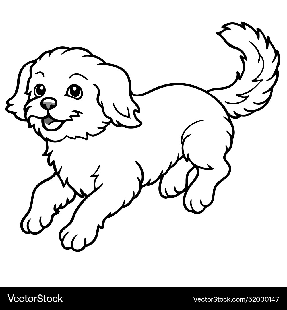 Cavapoo dog jumps icon Royalty Free Vector Image