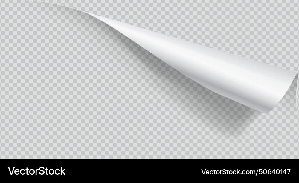 Curled corner of paper with shadow realistic Vector Image
