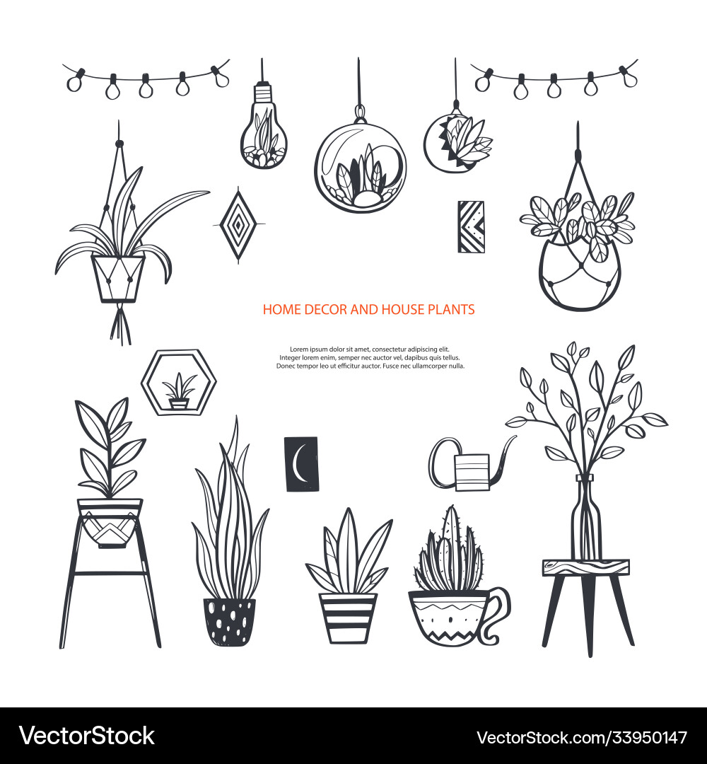 Home decor and house plants hand drawn set Vector Image