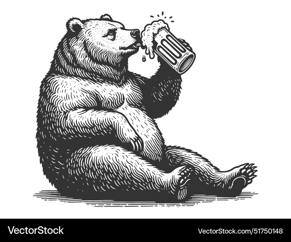 Bear drinking beer engraving Royalty Free Vector Image