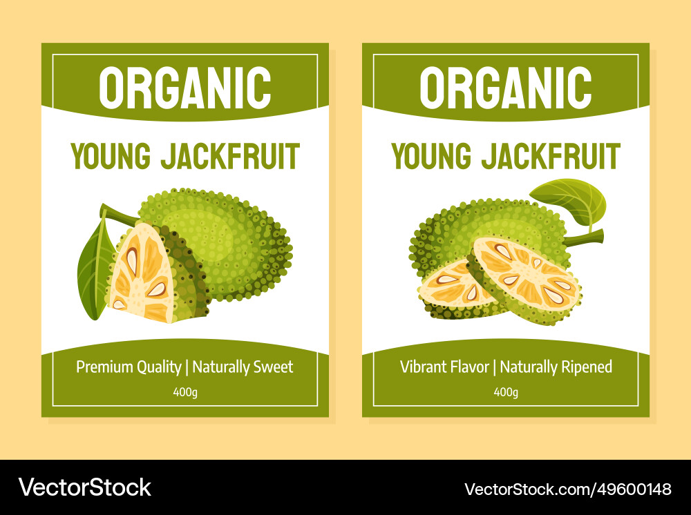 Jackfruit natural label design with green tropical