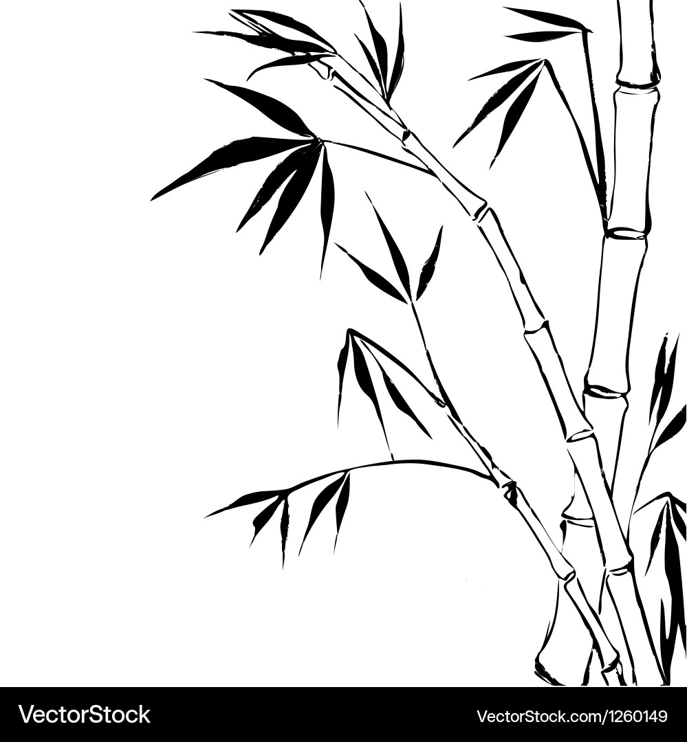 Bamboo Royalty Free Vector Image - VectorStock