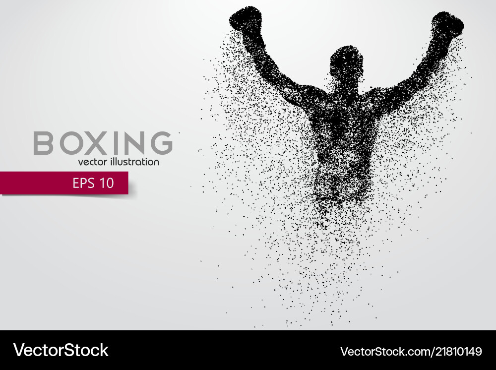 Boxing silhouette Royalty Free Vector Image - VectorStock