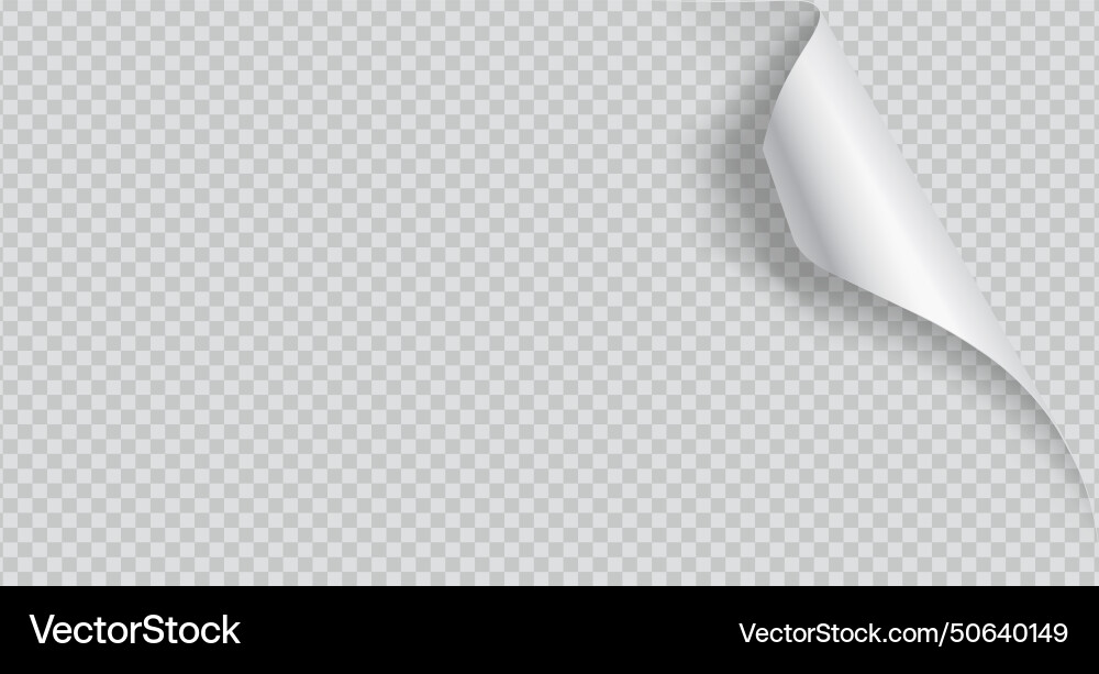 Curled corner of paper with shadow realistic Vector Image