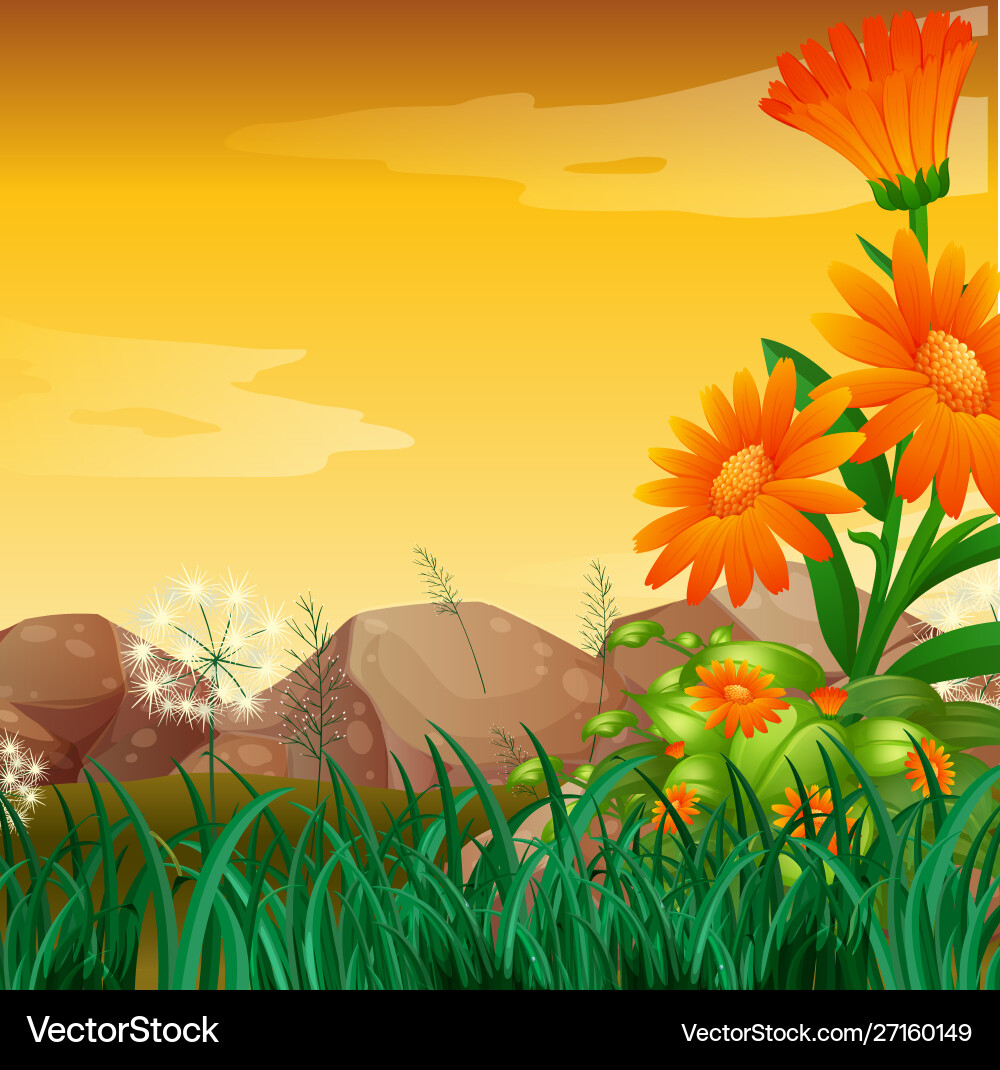 Nature scene with flower garden at sunset Vector Image
