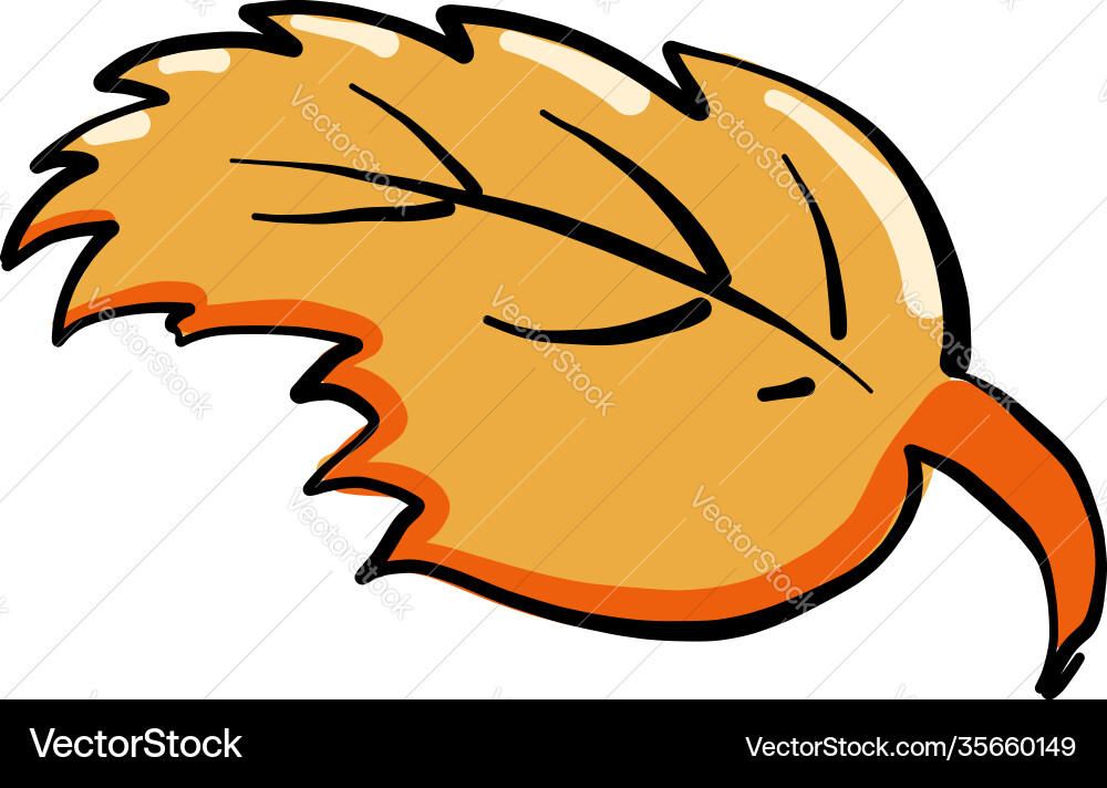 Orange leaf on white background Royalty Free Vector Image