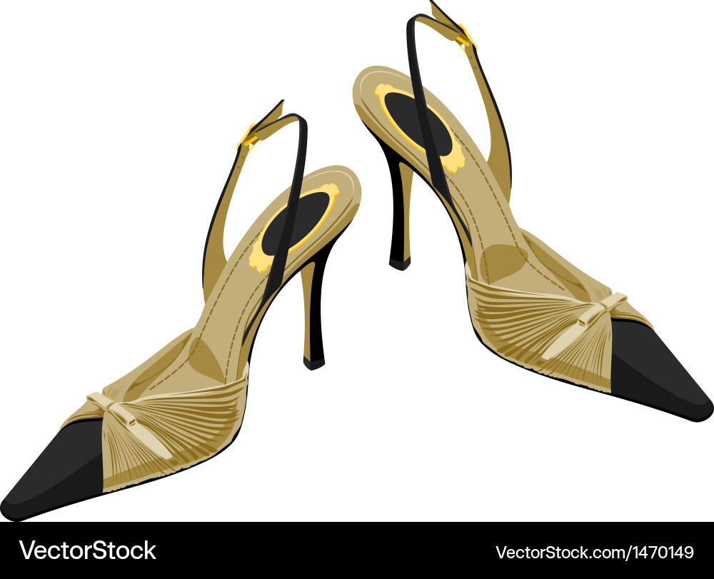 Womens shoes Royalty Free Vector Image - VectorStock