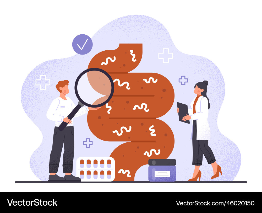 Healthy gut flora Royalty Free Vector Image - VectorStock