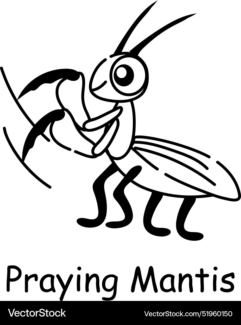 Praying mantis Royalty Free Vector Image - VectorStock