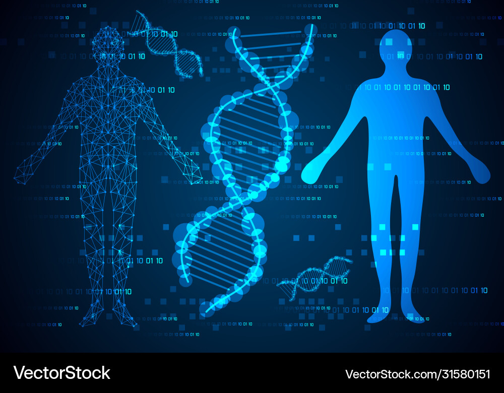 Abstract science concept humans body digital link Vector Image