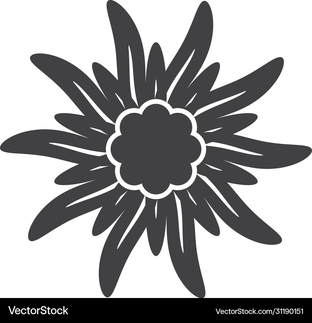Edelweiss logo Royalty Free Vector Image - VectorStock