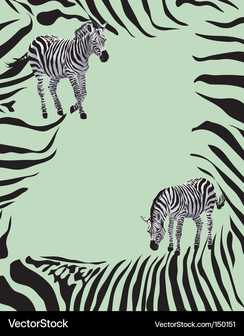 Zebra Royalty Free Vector Image - VectorStock