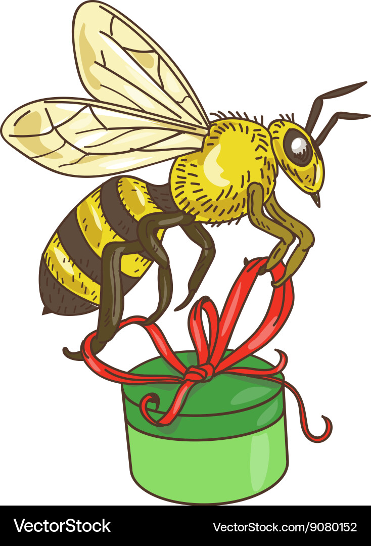 Bee carrying gift box drawing Royalty Free Vector Image