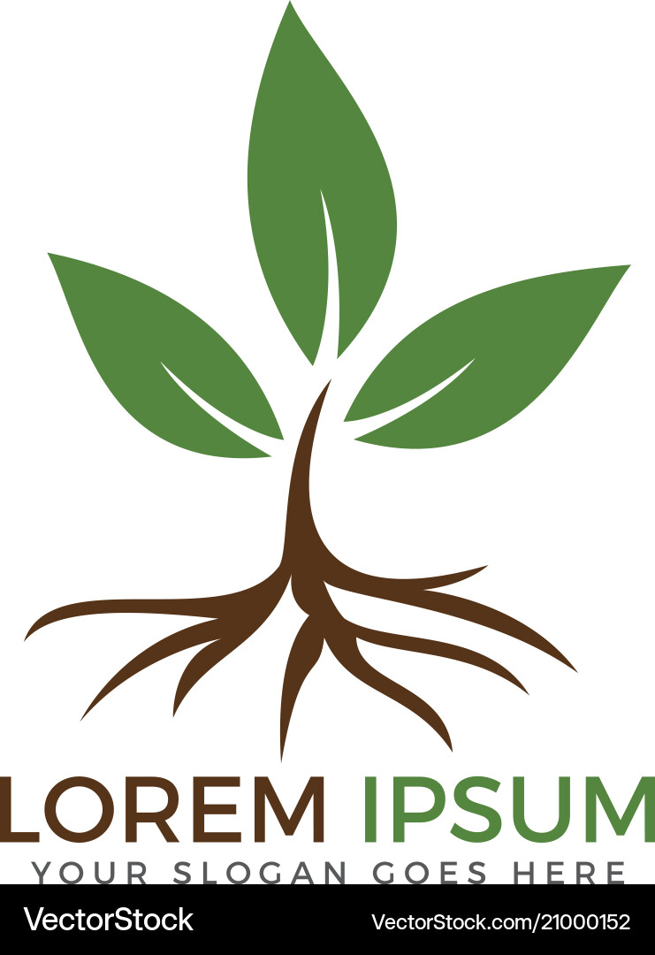 Tree Root Logo - Genetic Growth Royalty Free Vector Image