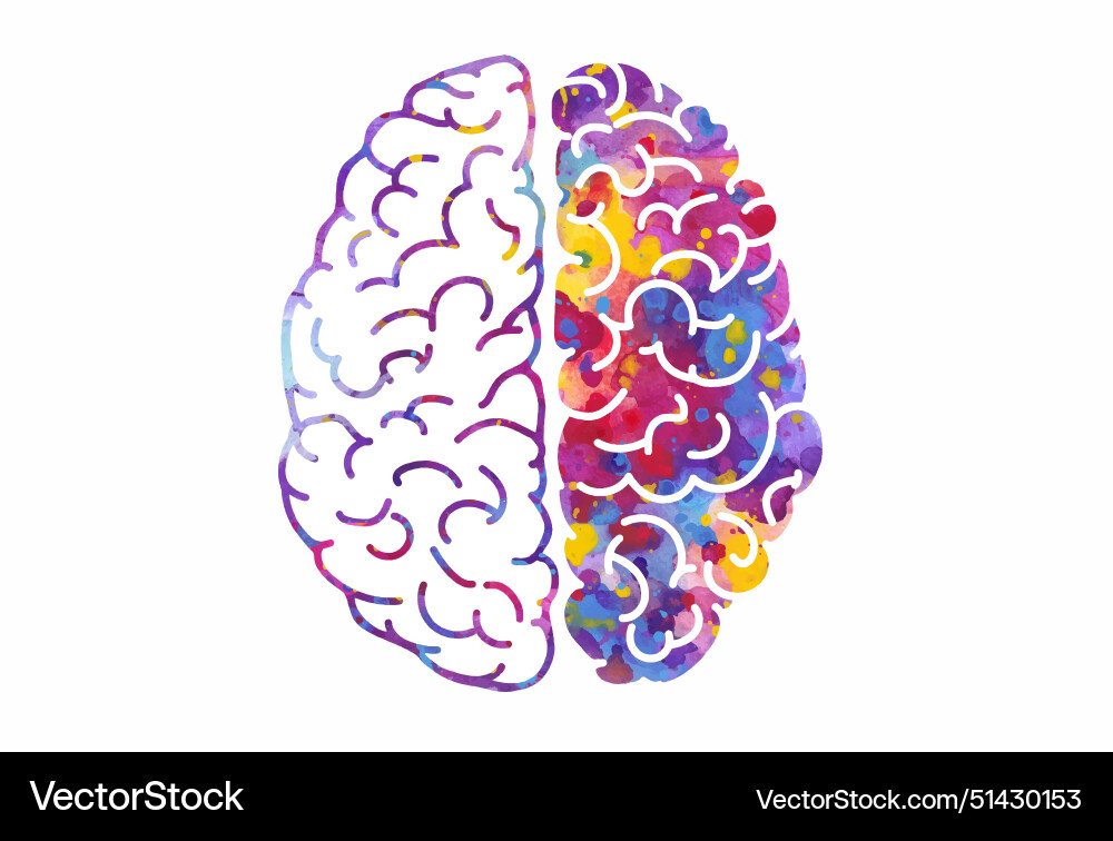 Watercolor brain left and right hemispheres Vector Image