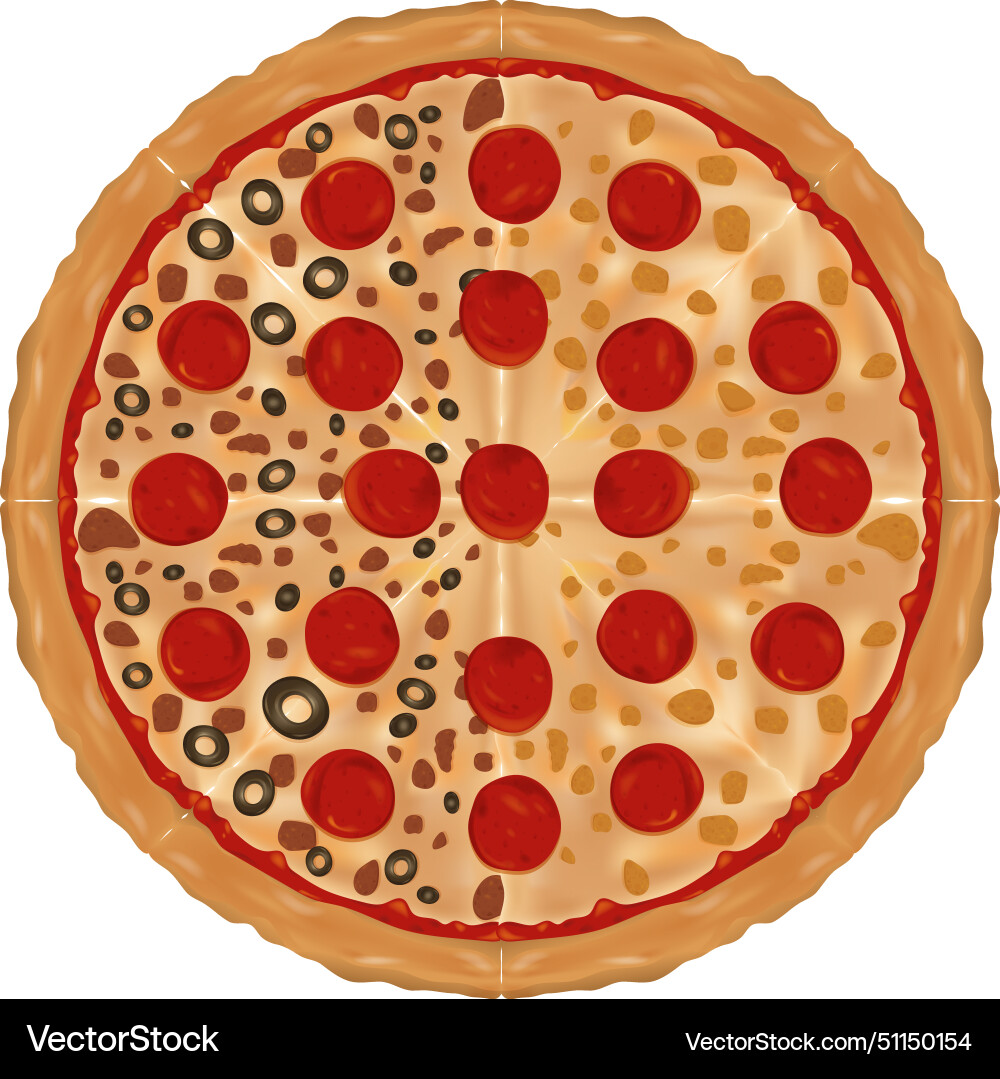 A pepperoni and olive pizza Royalty Free Vector Image