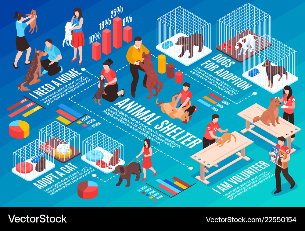 Animal shelter isometric flowchart Royalty Free Vector Image