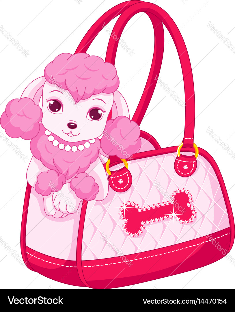 Cute pink poodle Royalty Free Vector Image - VectorStock