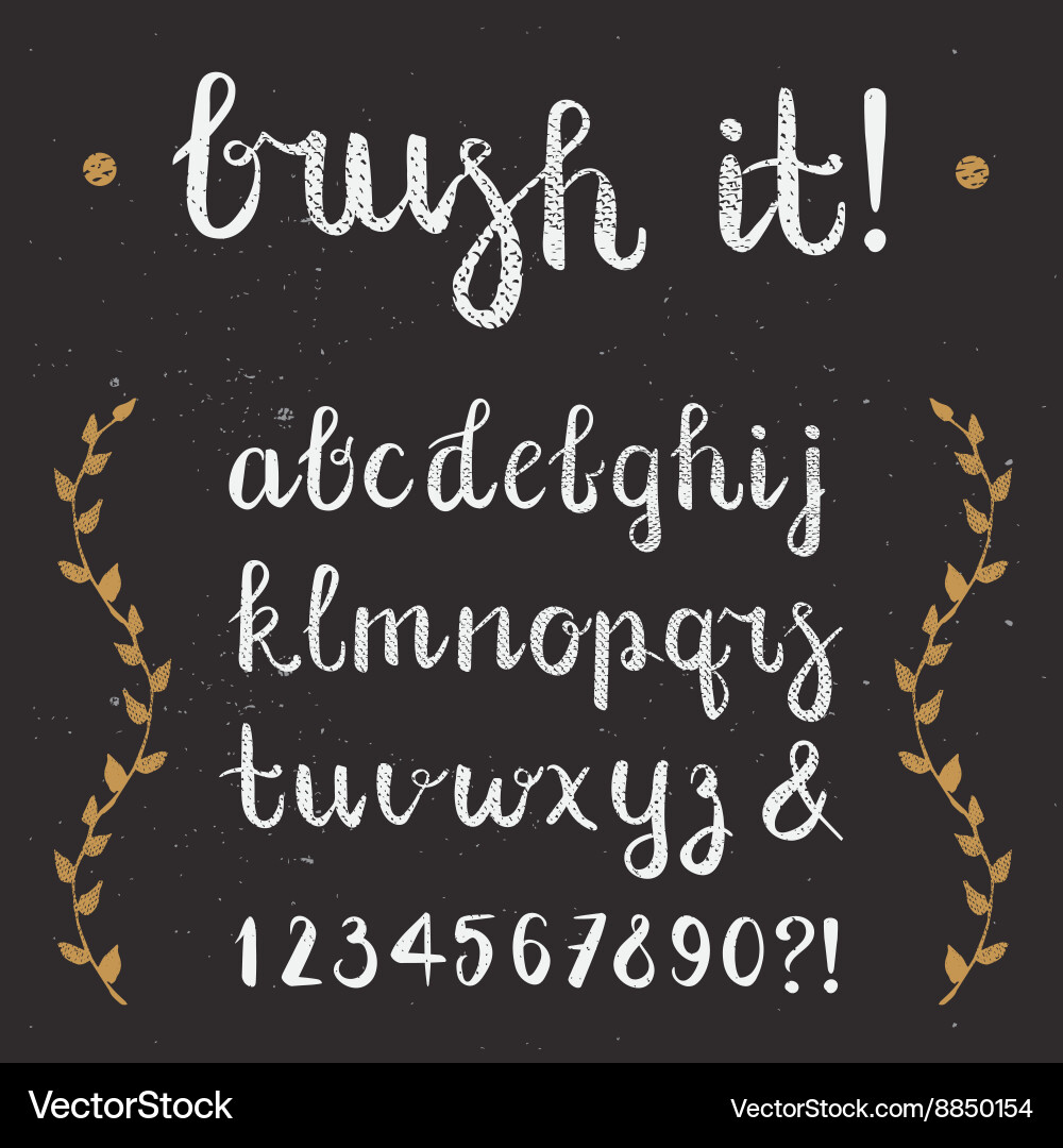 Hand drawn script alphabet letters written Vector Image