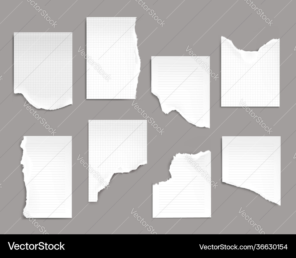 Notebook sheets with torn edge ragged blank pages Vector Image