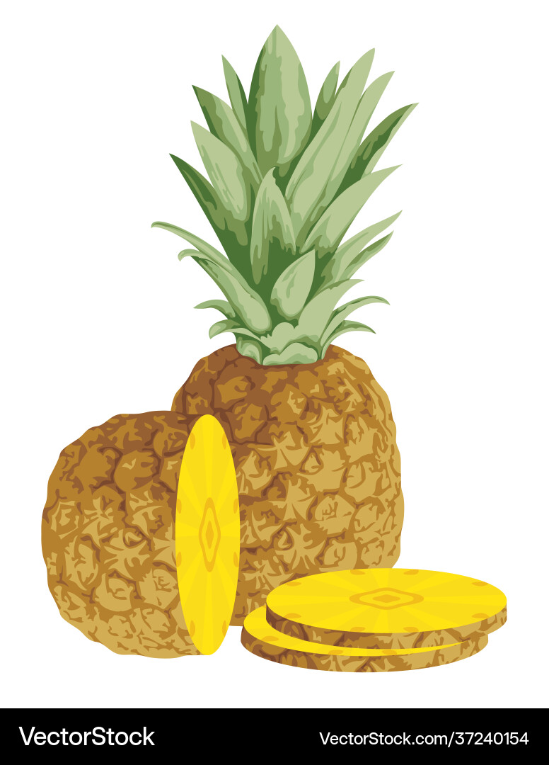 Sliced and whole pineapple with leaves close up Vector Image