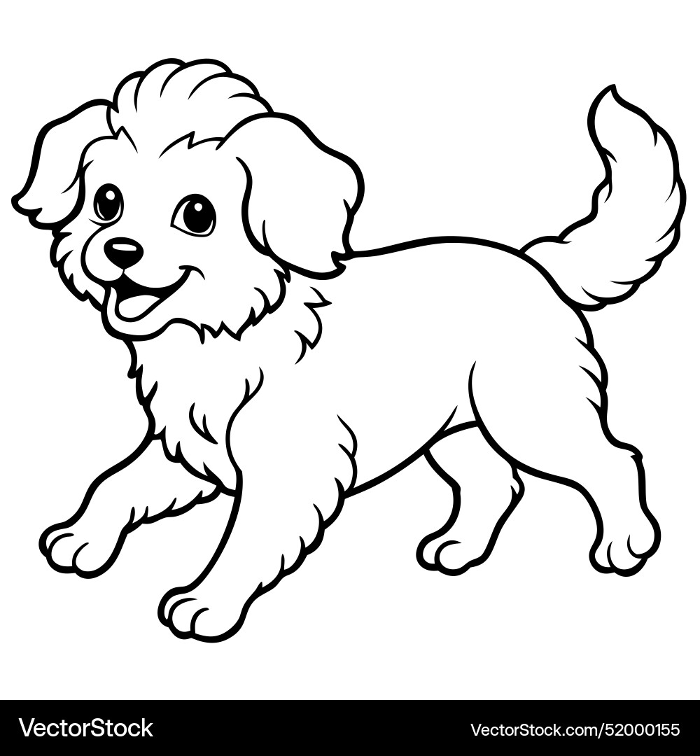 Cavapoo dog runs icon Royalty Free Vector Image