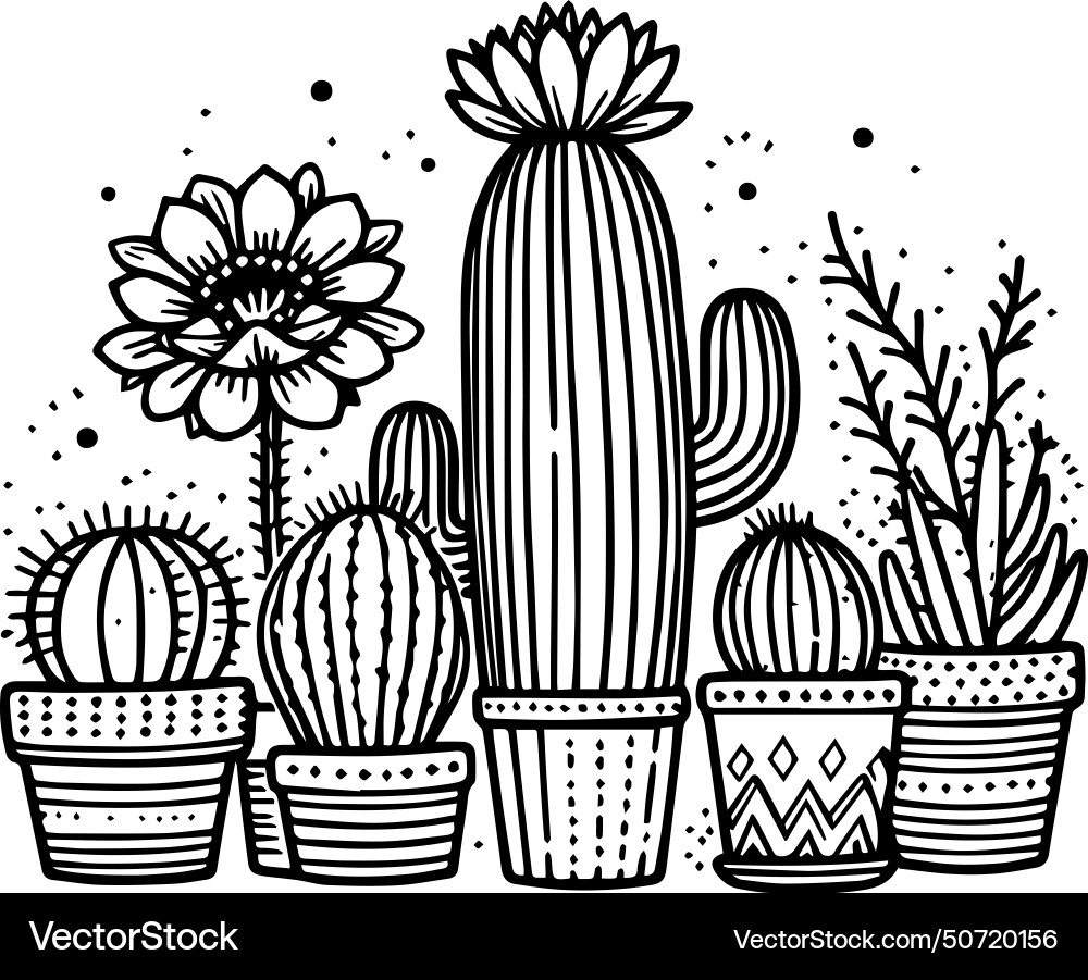 Cactus line drawing Royalty Free Vector Image - VectorStock