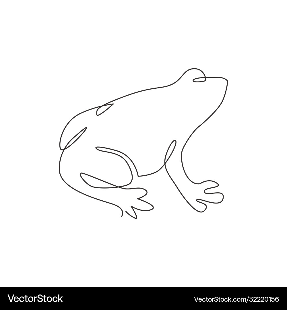 Images Of Frog Line Drawing