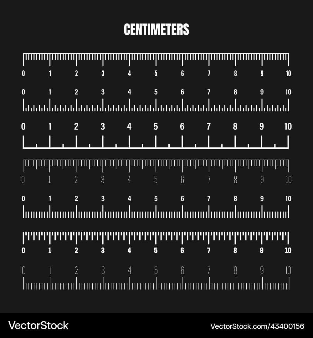 Realistic white centimeter scale for measuring Vector Image