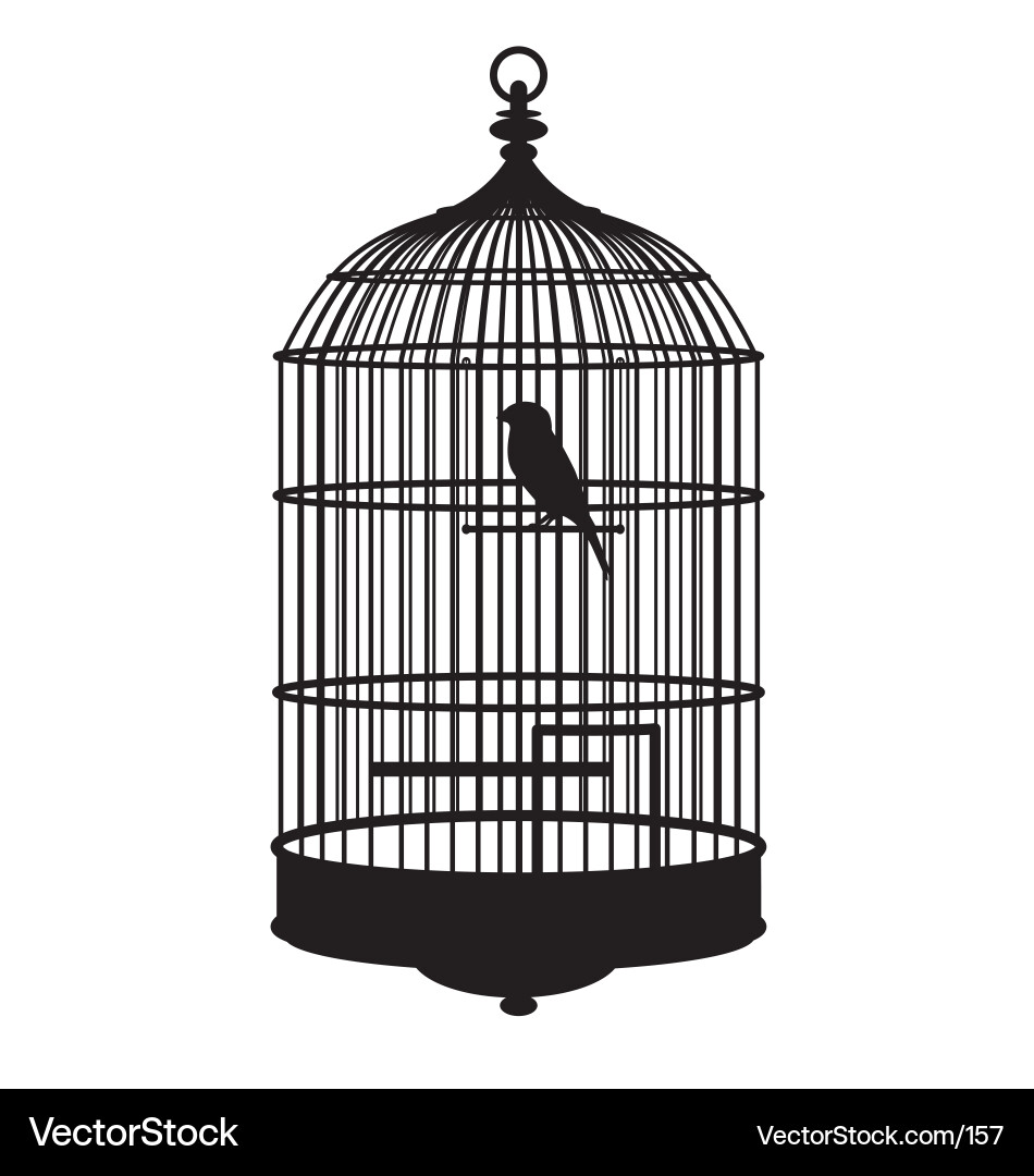 Bird cage Royalty Free Vector Image - VectorStock