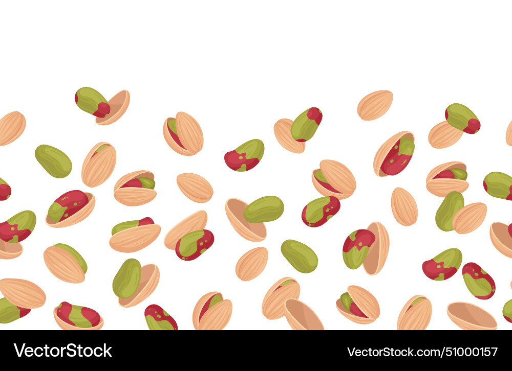 Falling pistachio nuts border cartoon pistachios Vector Image