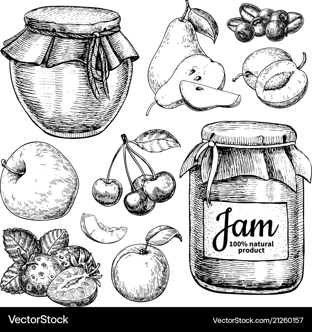 Fruit jam glass jar drawing jelly Royalty Free Vector Image