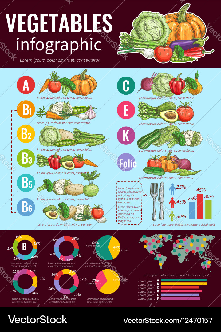 Vegetables infographic design sketch style Vector Image