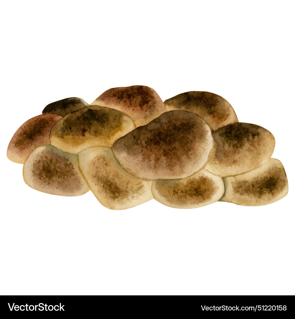 Challah jewish bread fresh braided egg Royalty Free Vector